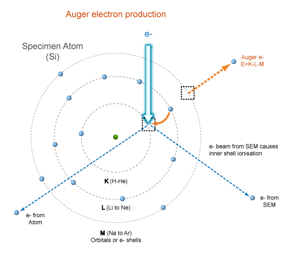 X Rays Production Animation